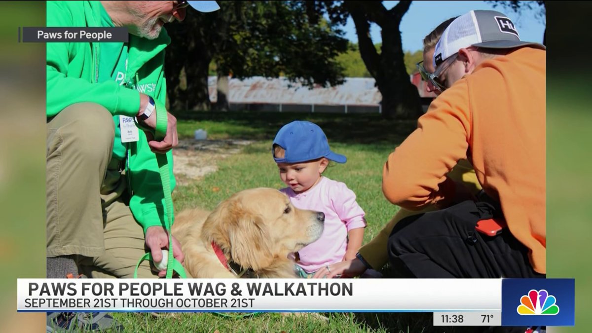 Wag and Walk for Paws for People – NBC10 Philadelphia