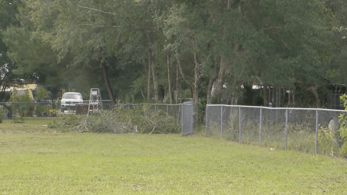 Man shot while trimming trees in Florida – NBC10 Philadelphia