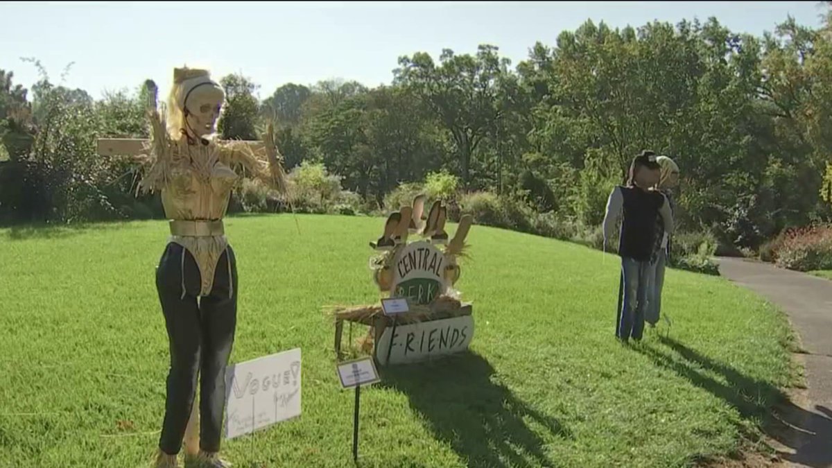 The Scarecrow Walk is back at Morris Arboretum – NBC10 Philadelphia