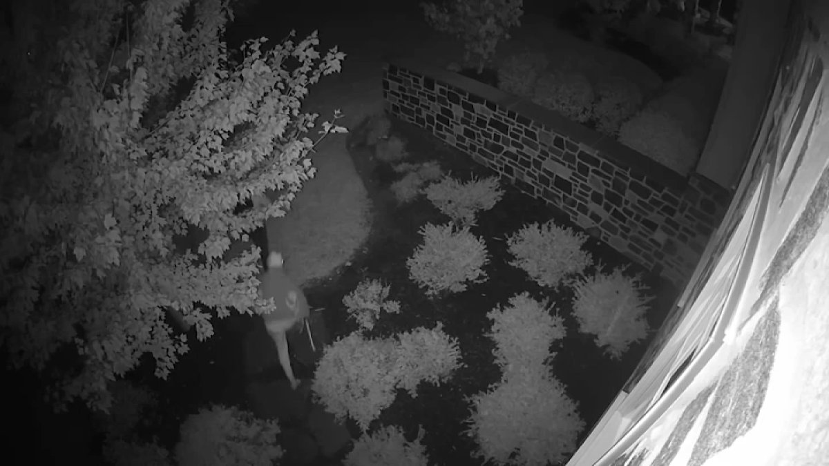 Police using investigative means, dog walkers to bust Main Line ...