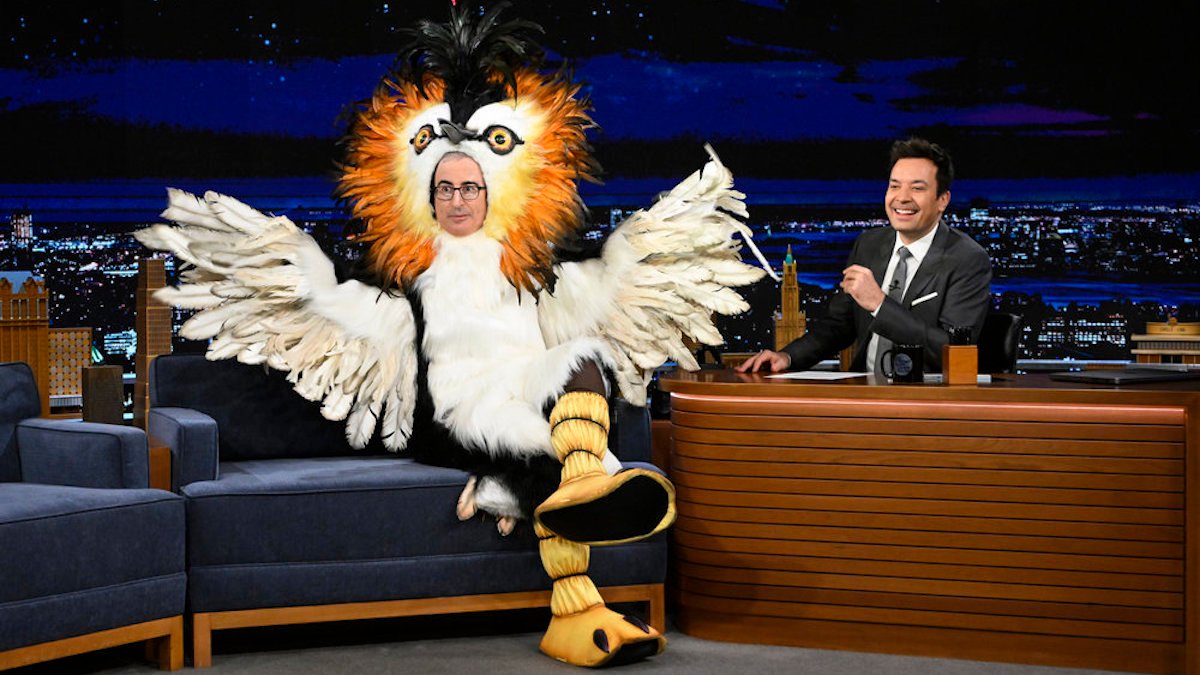 New Zealand’s favorite bird contest delayed amid John Oliver campaign ... New Zealand’s favorite bird contest delayed amid John Oliver campaign ...