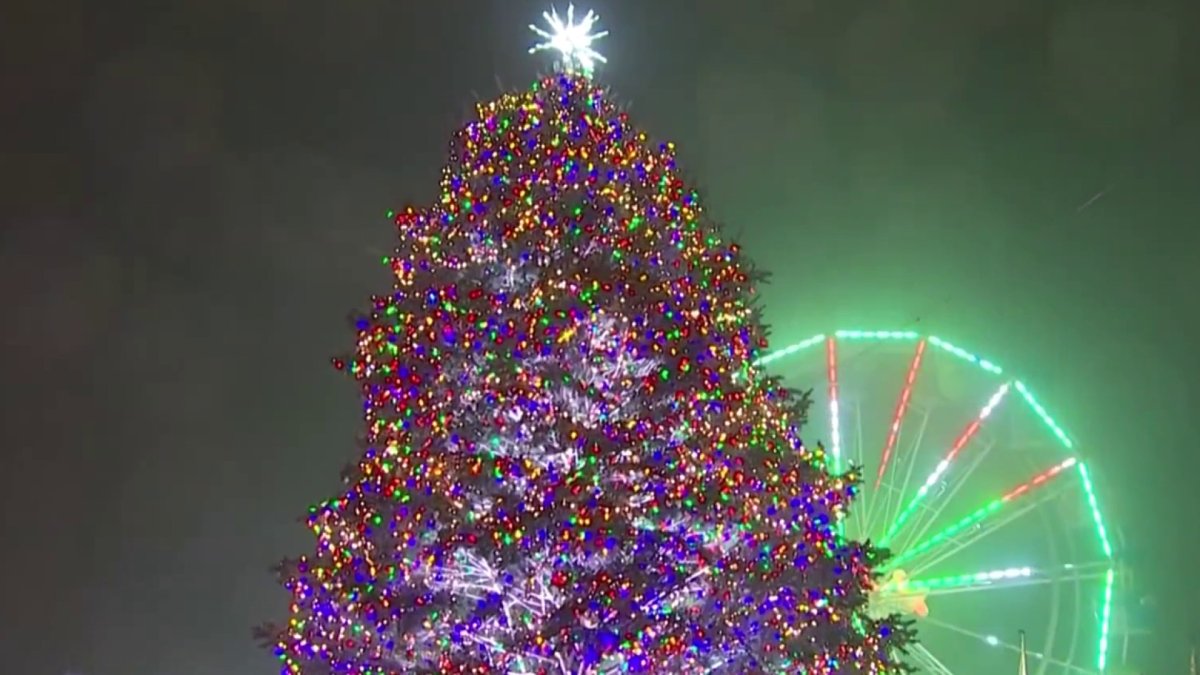 The holidays have officially arrived with the lighting of the tree at ...