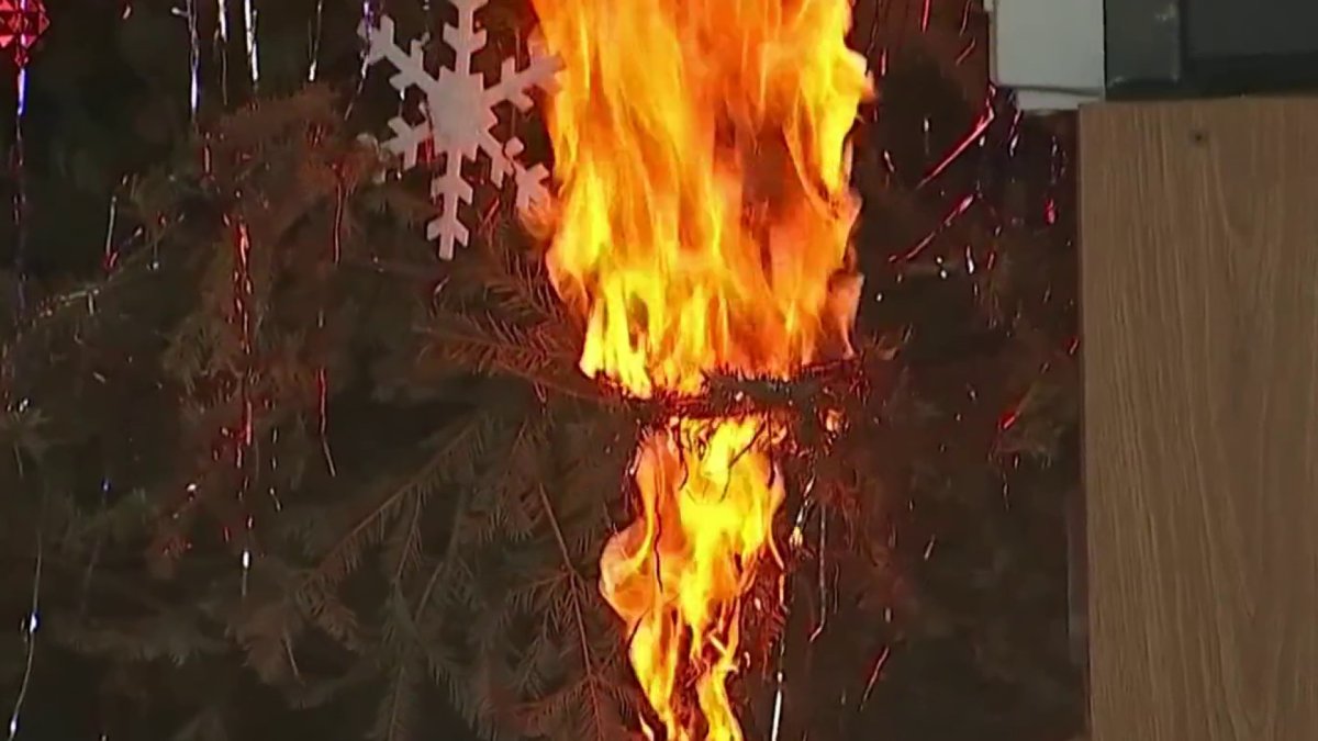 Philly fire department wants to make sure your Christmas tree doesn’t ...