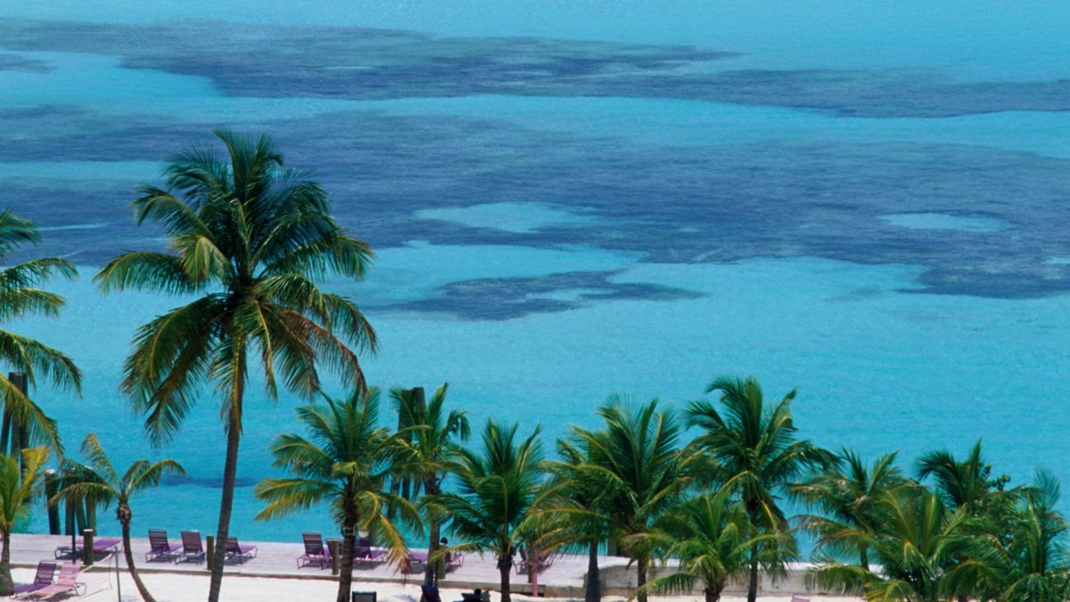 US updates Bahamas travel advisory over crime, beach safety, guns ...