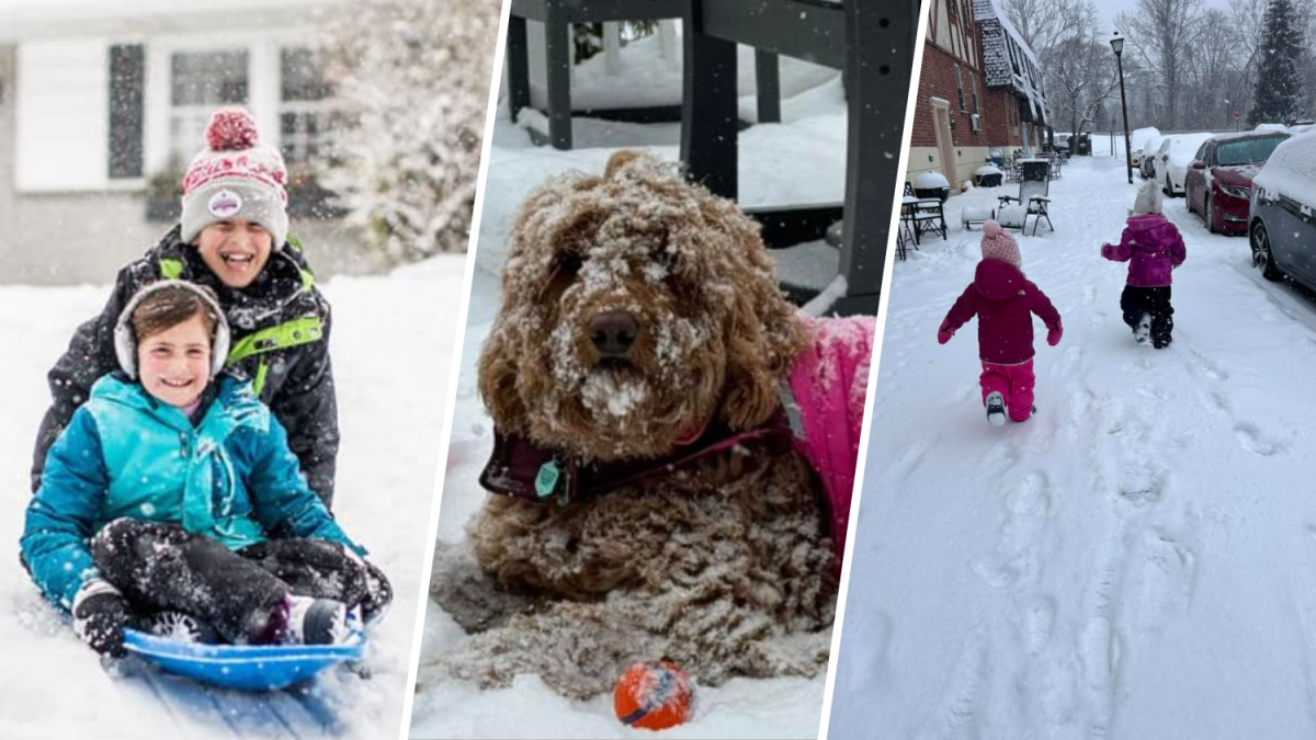 Snow day! See how people are enjoying the winter weather across the ...