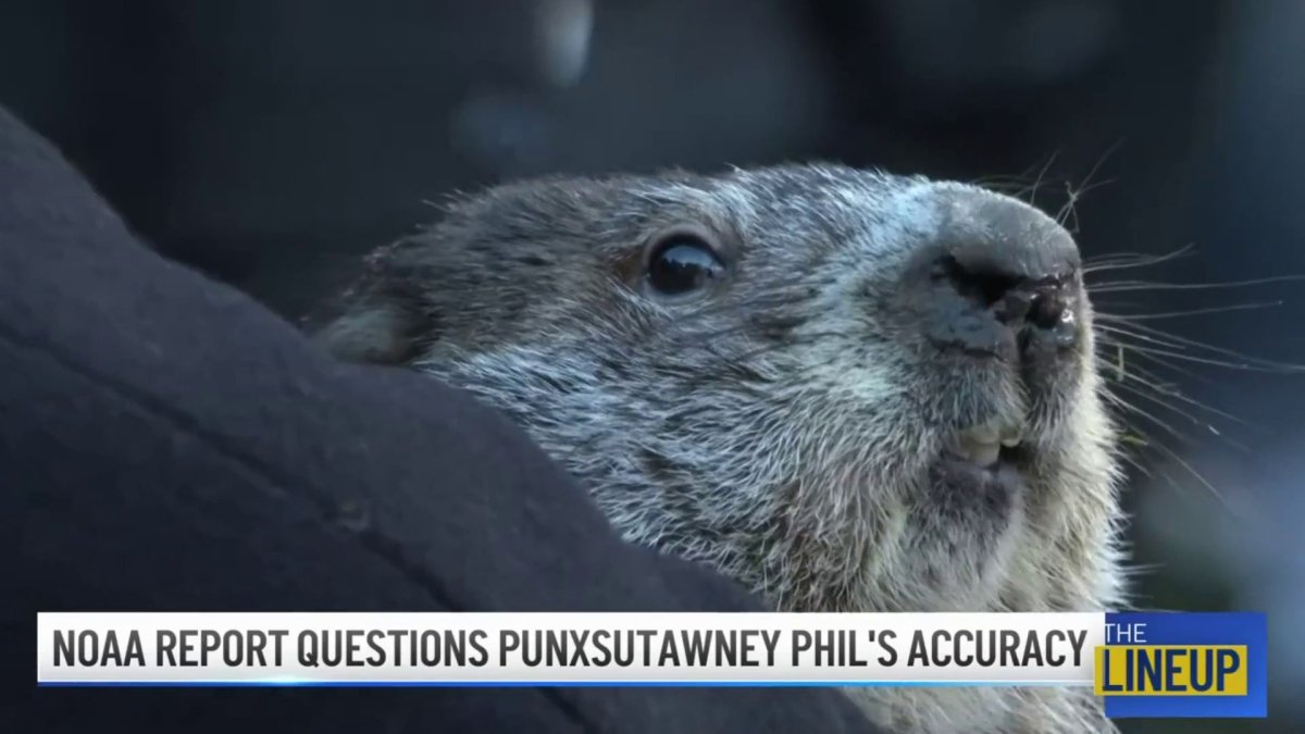 Groundhog Day edition of The Lineup – NBC10 Philadelphia