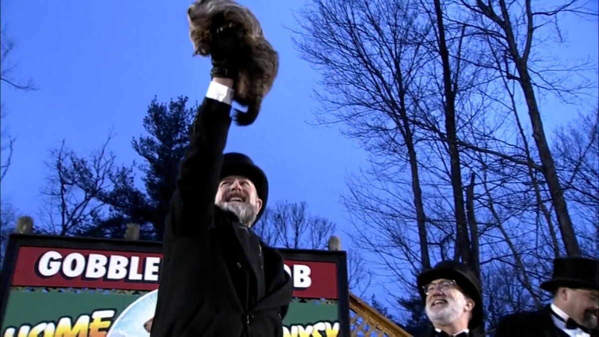 Famous groundhog Punxsutawney Phil sees no shadow – NBC10 Philadelphia