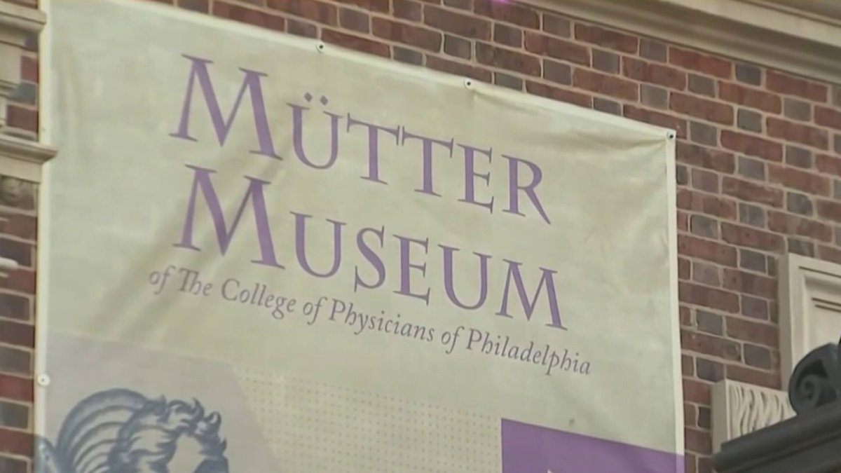 Philly’s Mutter Museum recieves preserved fetueses unexpectedly – NBC10 ...