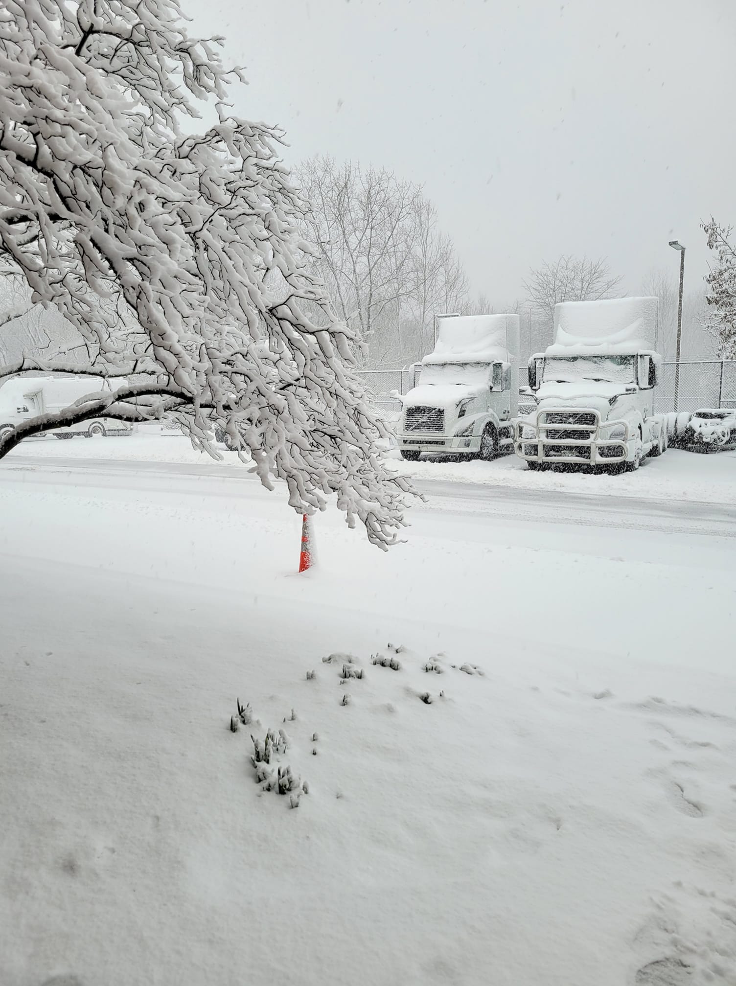 NBC10 viewers across the Pa. suburbs send snow photos – NBC10 Philadelphia