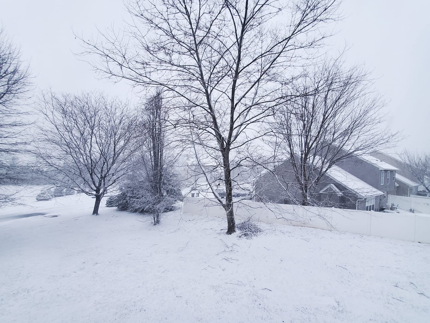 NBC10 viewers across the Pa. suburbs send snow photos – NBC10 Philadelphia