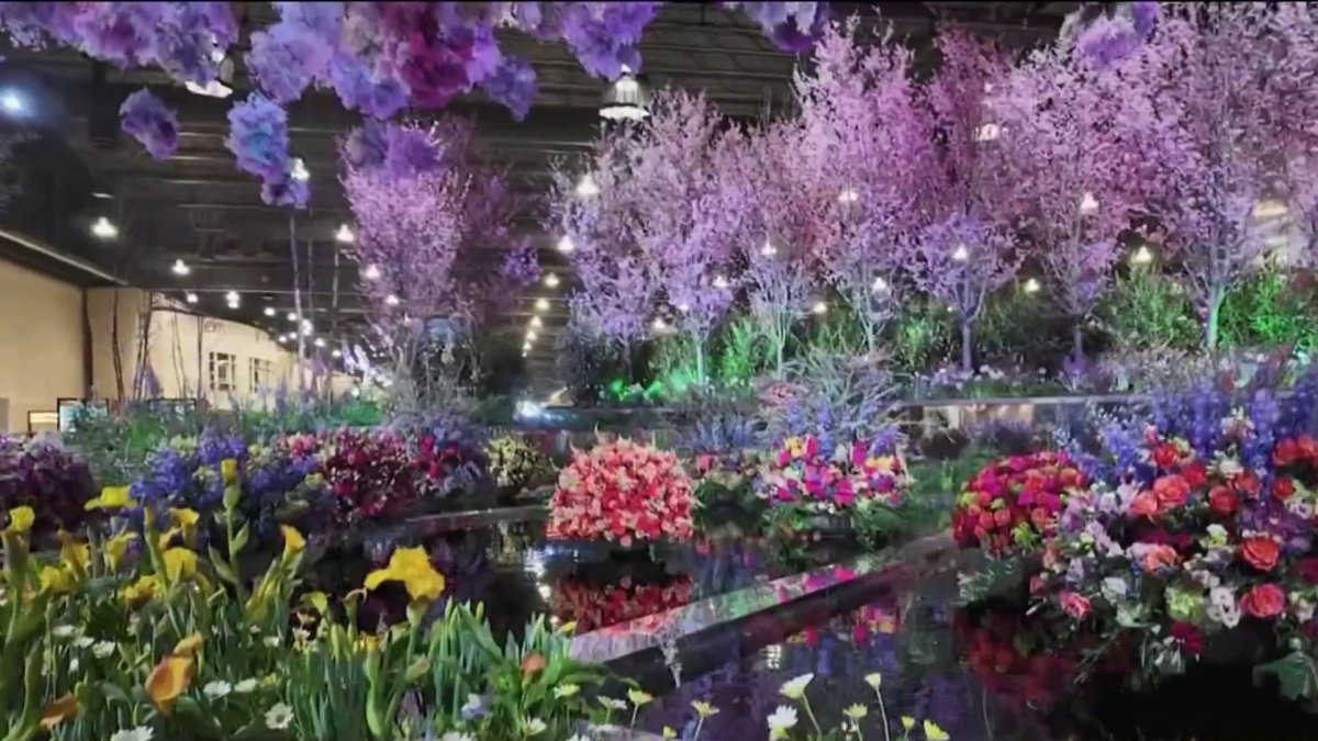 A first look at this year’s Philadelphia Flower Show – NBC10 Philadelphia
