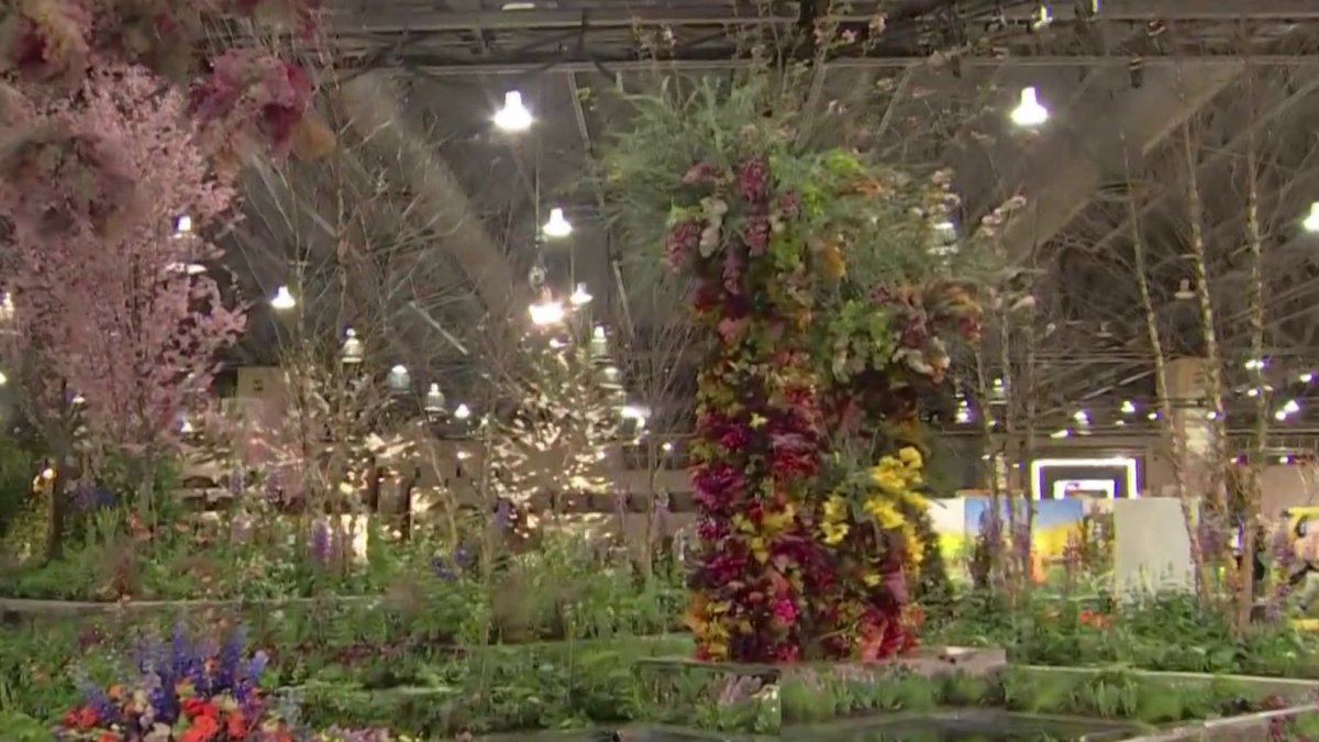 Here’s what you can expect for the 2024 Philadelphia Flower Show ...