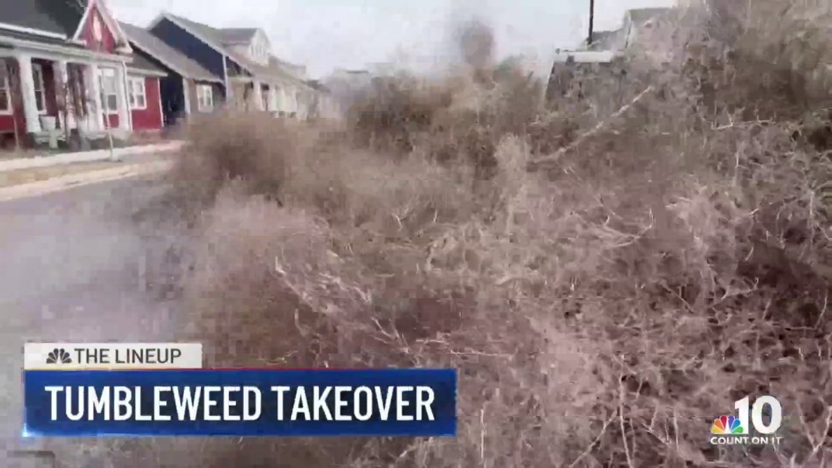 Tumbleweed takeover in small town: The Lineup – NBC10 Philadelphia