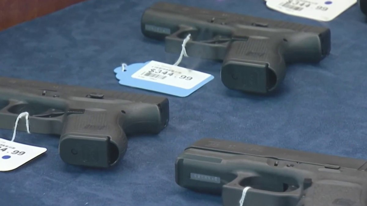 Delaware lawmakers pass new gun law that creates more steps when buying ...