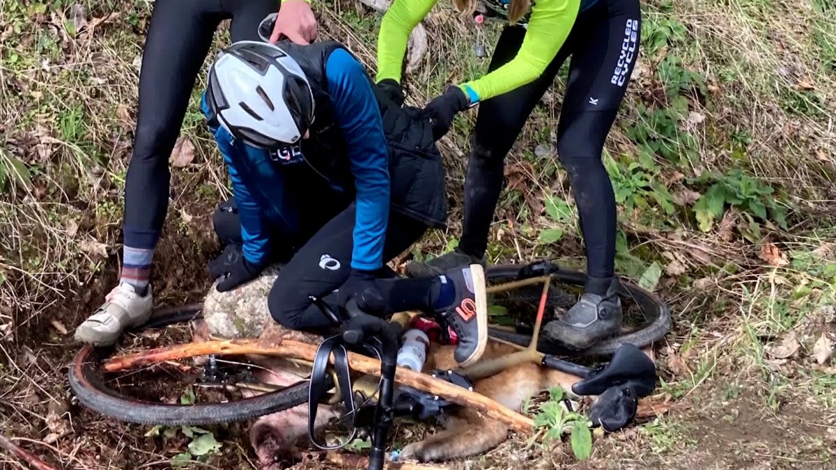 Washington cyclist speaking out after surviving a cougar attack – NBC10 ...
