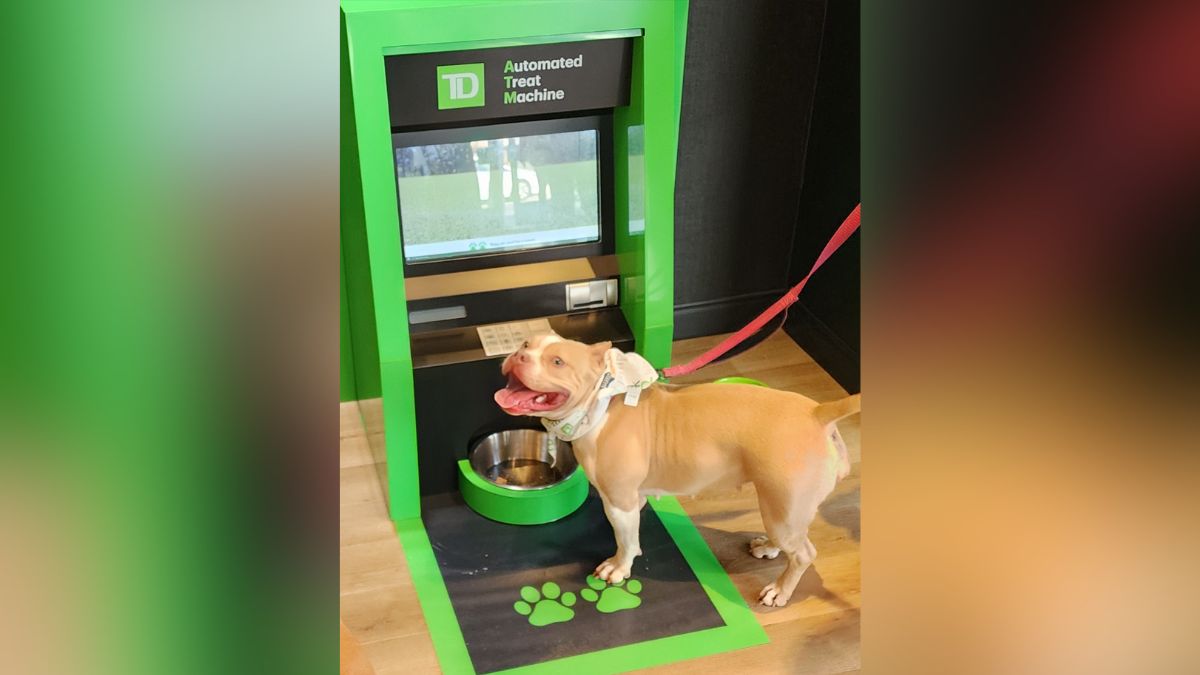 TD Bank debuts first-of-its-kind dog ATM in South Philadelphia – NBC10 ...