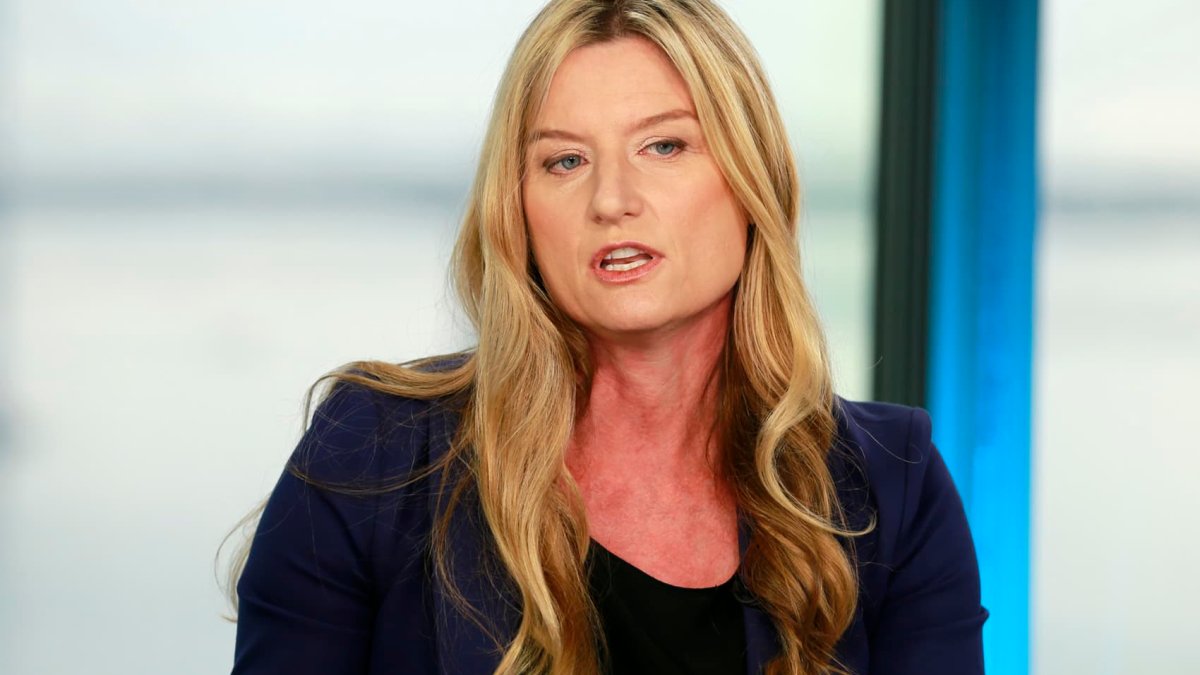 Williams-Sonoma CEO explains pricing strategy after earnings beat ...