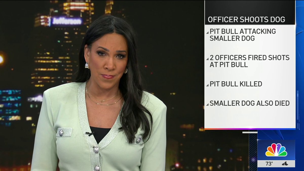 Police officers shoot, kill pitbull in South Philly on Thursday – NBC10 ...