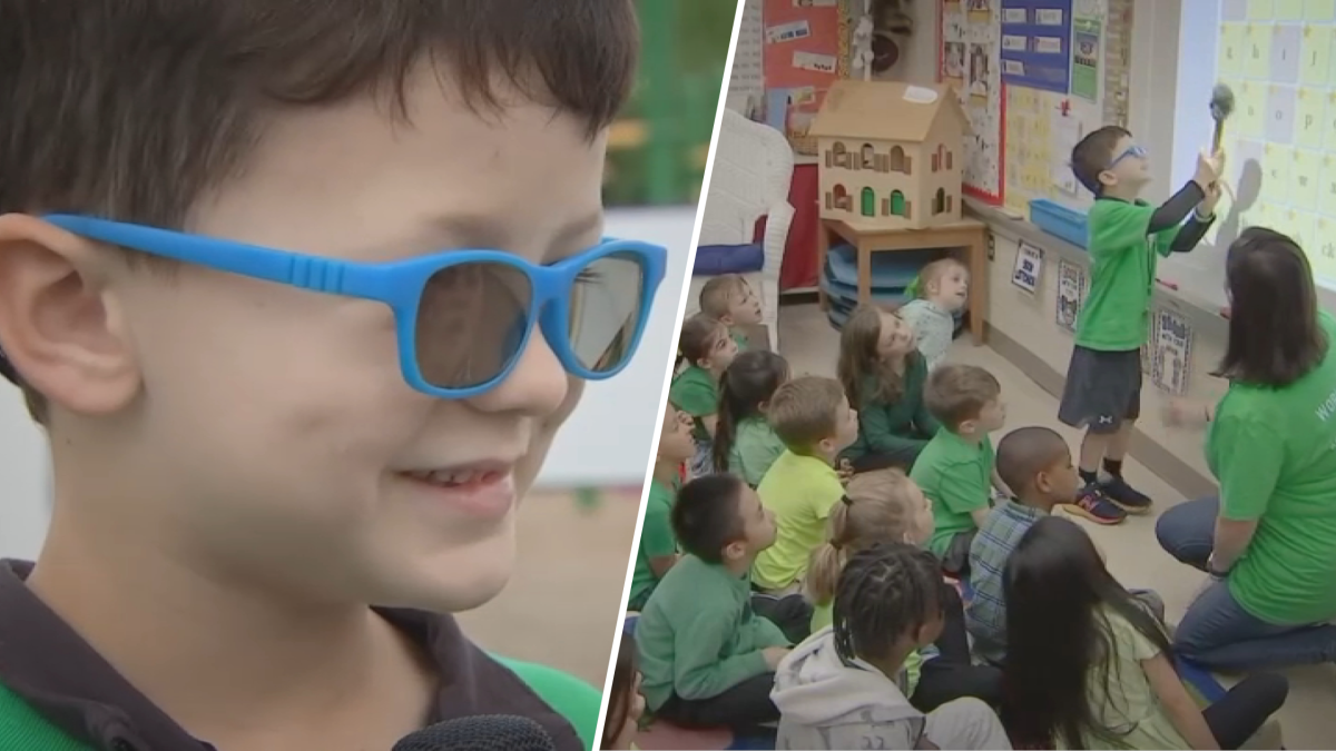 Pa. school wears green, learns about CDG in honor of student – NBC10 ...