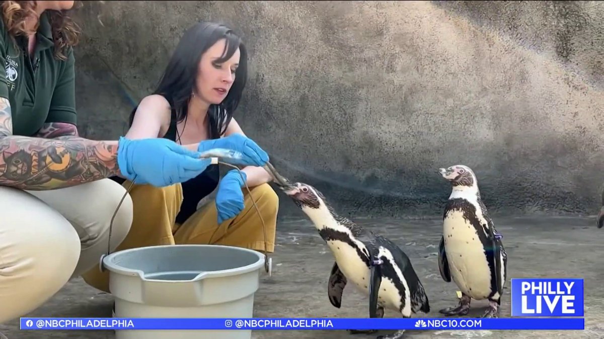 Get up close and personal with your favorite animals at the ...