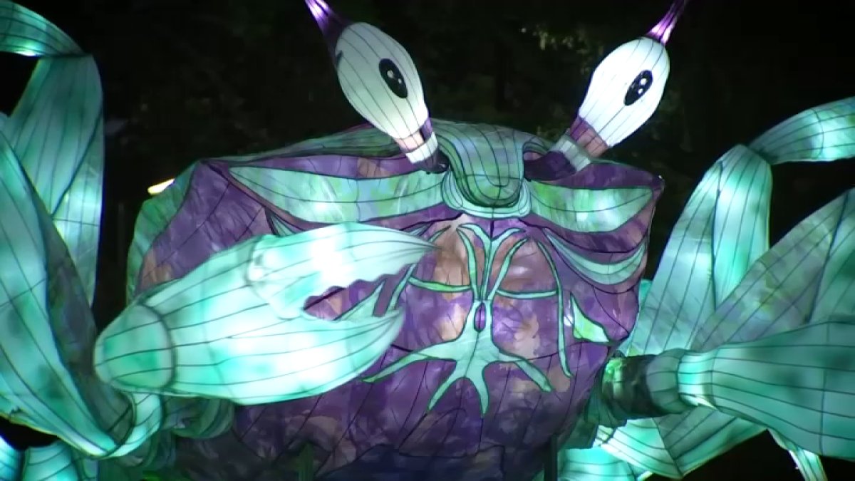 Your guide to 2024 Philadelphia Chinese Lantern Festival – NBC10 ...