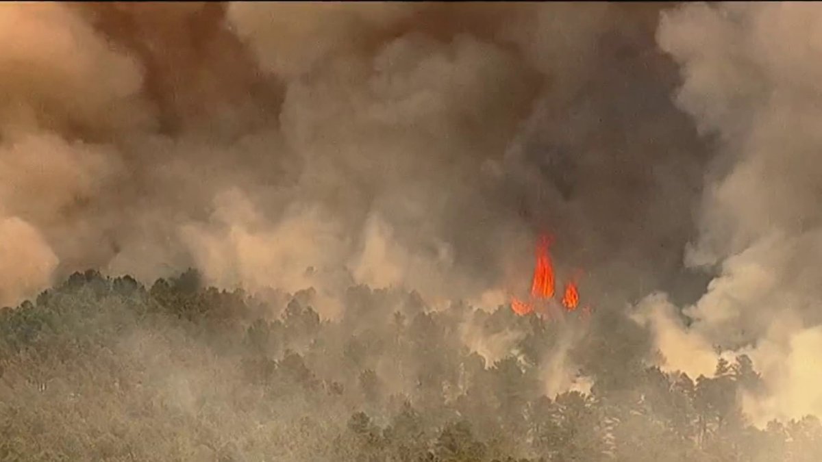 Wildfire burning acres of land at Wharton State Forest in New Jersey ...