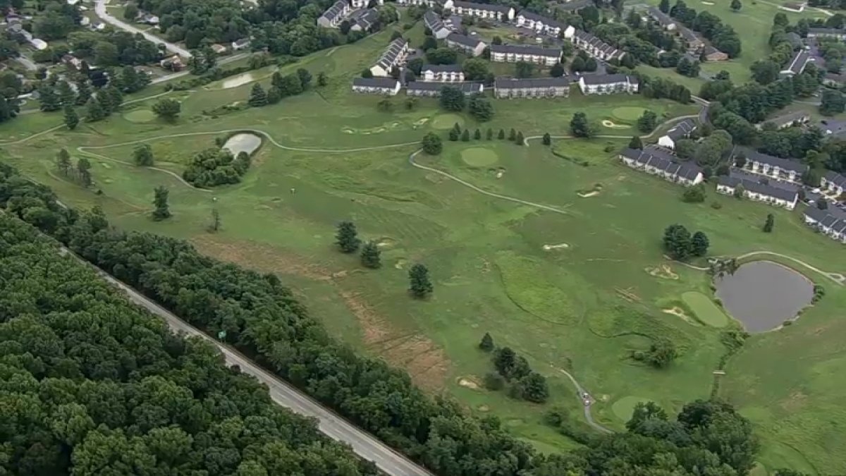 Dead puppies left on Chester Co. golf course, police say – NBC10 ...