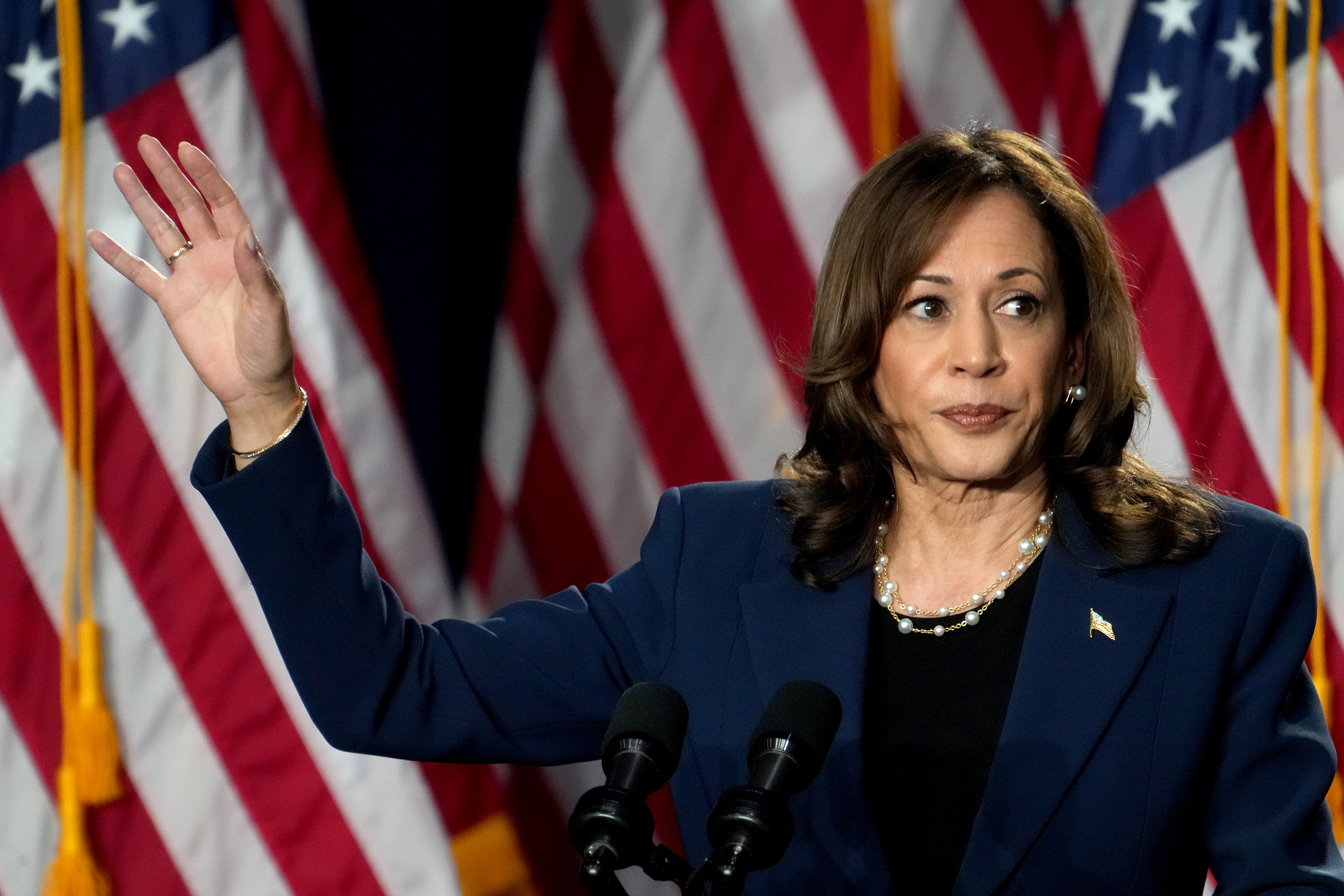 Harris pits her record as prosecutor against Trump’s legal record: ‘I ...