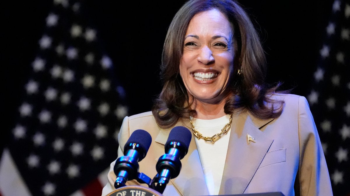 Youth-led progressive groups hope Harris will energize young voters ...