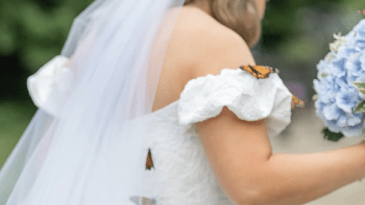 Bride releases butterflies in honor of her late father. But they didn’t ...