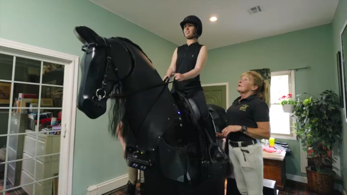 New technology in New Jersey making horseback riding safer – NBC10 Philadelphia