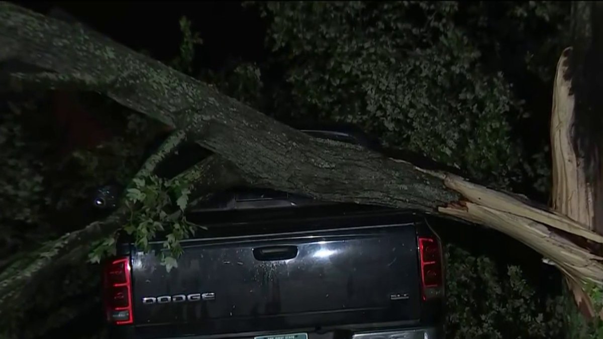‘War zone.’ Tornado touched down in Delaware causing downed trees ...