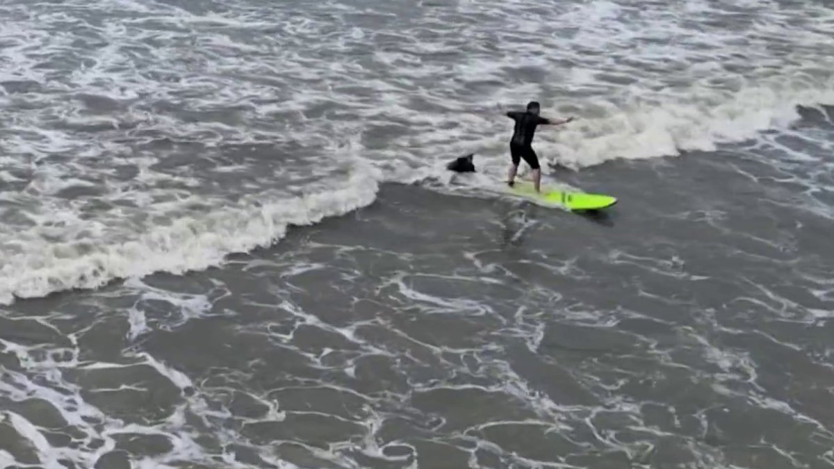 Matt Tries That: Can he hang 10 while surfing? – NBC10 Philadelphia