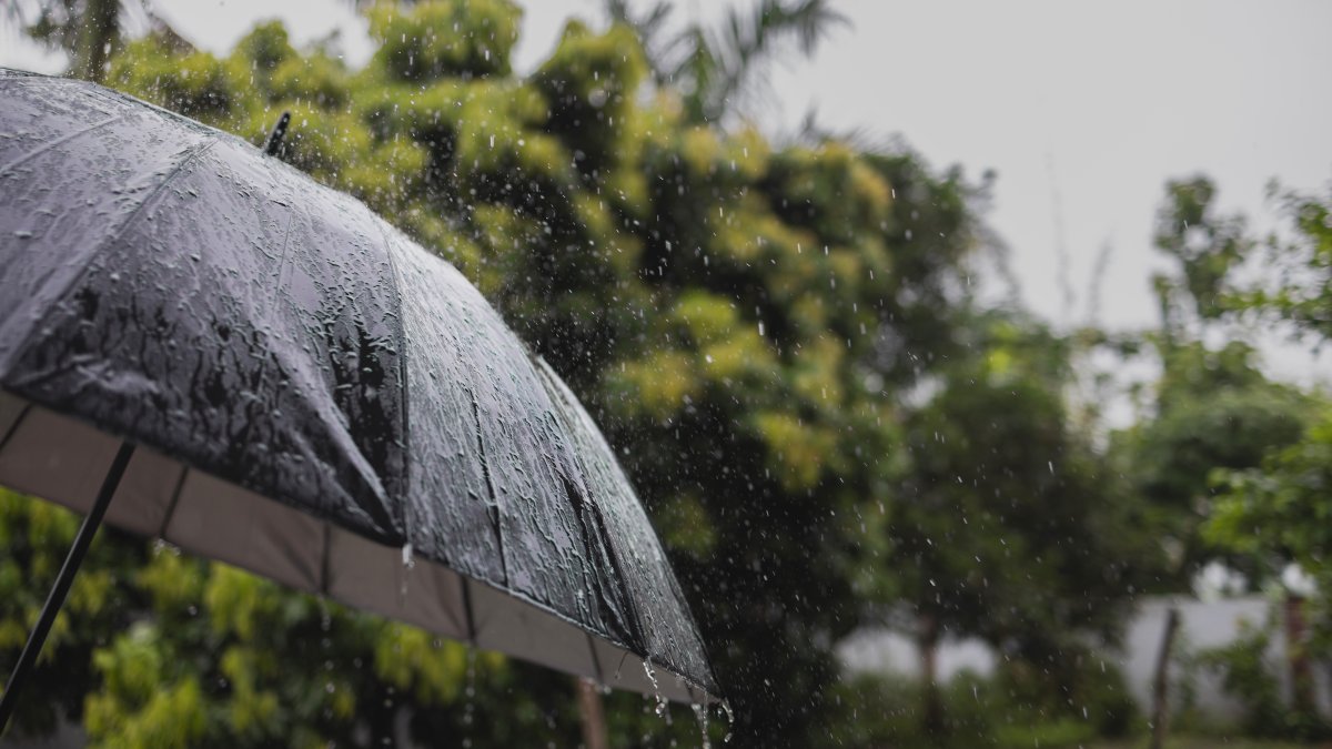 Heavy rain, strong winds expected during Thursday morning commute ...