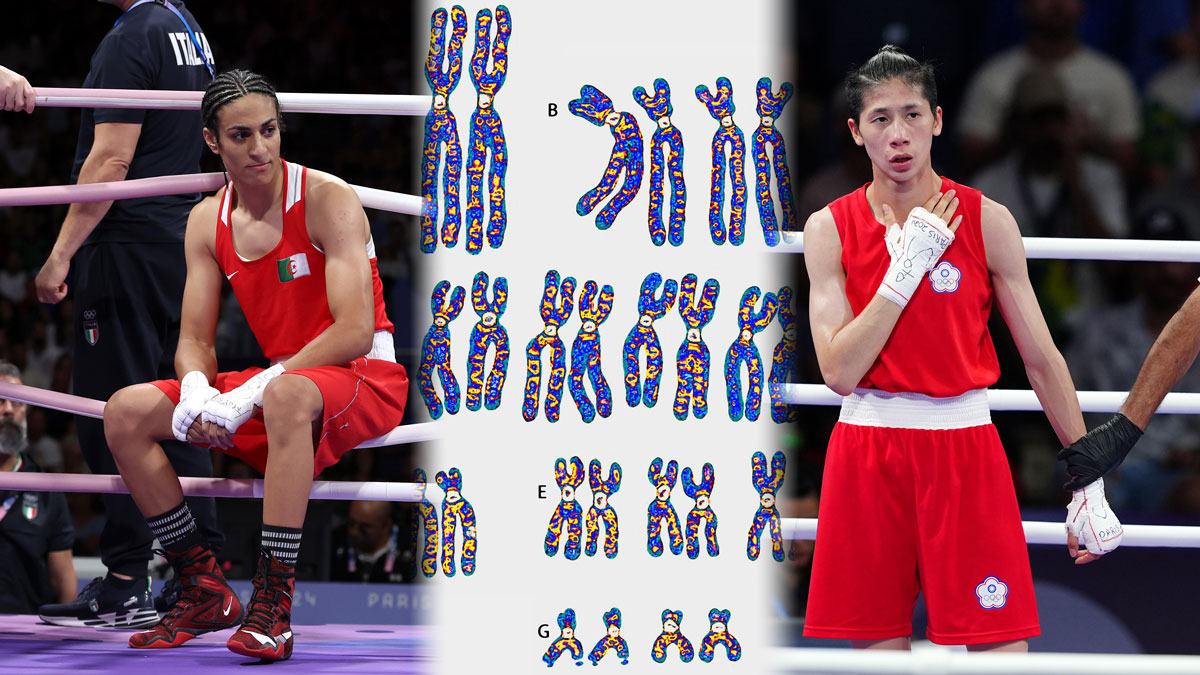 Olympic boxing controversy: Does Imane Khelif have XY chromosome ...