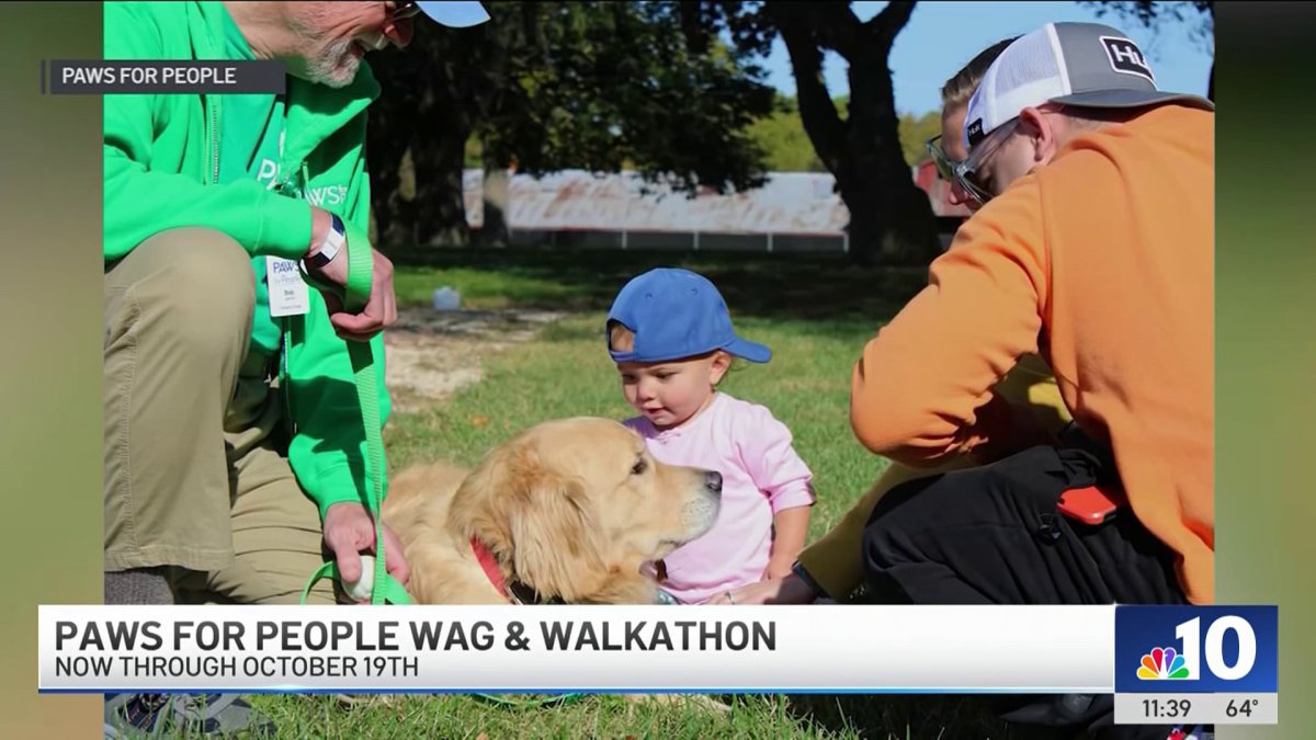 Paws for People: Connecting those in need with pet therapy – NBC10 ...