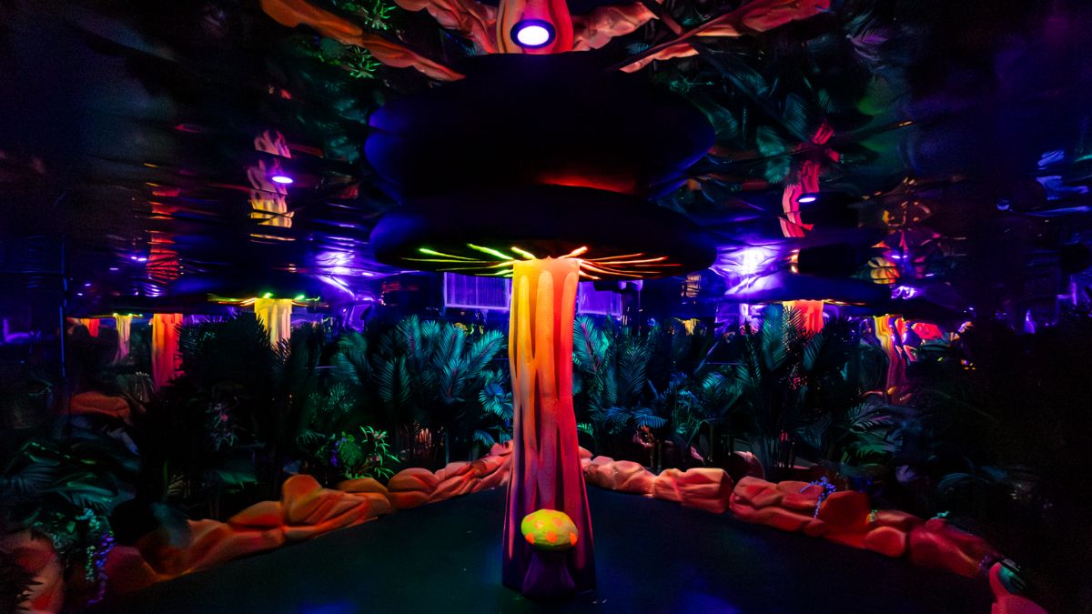 Philly’s Concourse Dance Bar undergoes extensive renovations – NBC10 ...