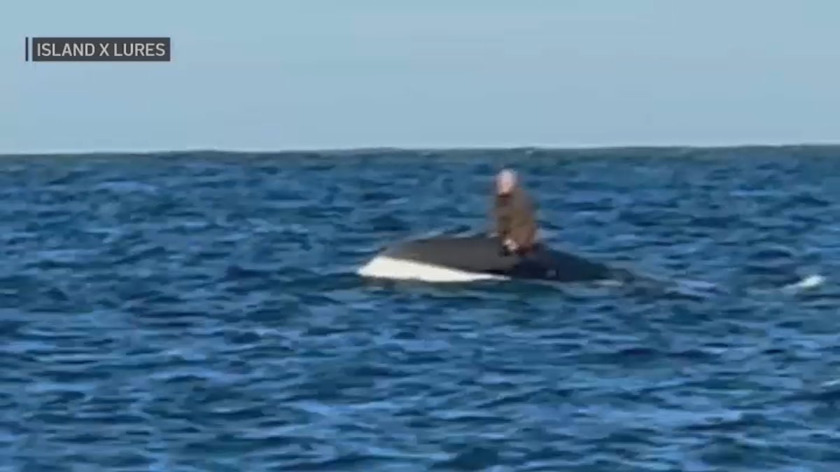 Nantucket fishermen spot and rescue man stranded on overturned boat ...