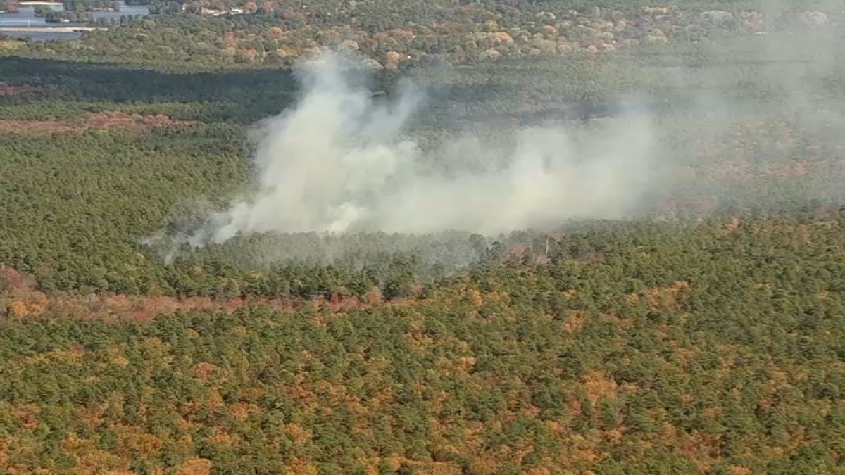 Wildfire burns through Brendan T. Byrne State Forest in NJ – NBC10 ...