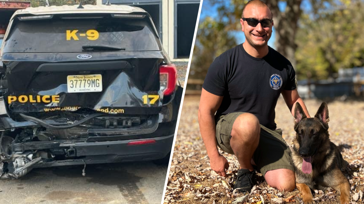 Car slams into police vehicle with South Jersey K9 still inside – NBC10 ...