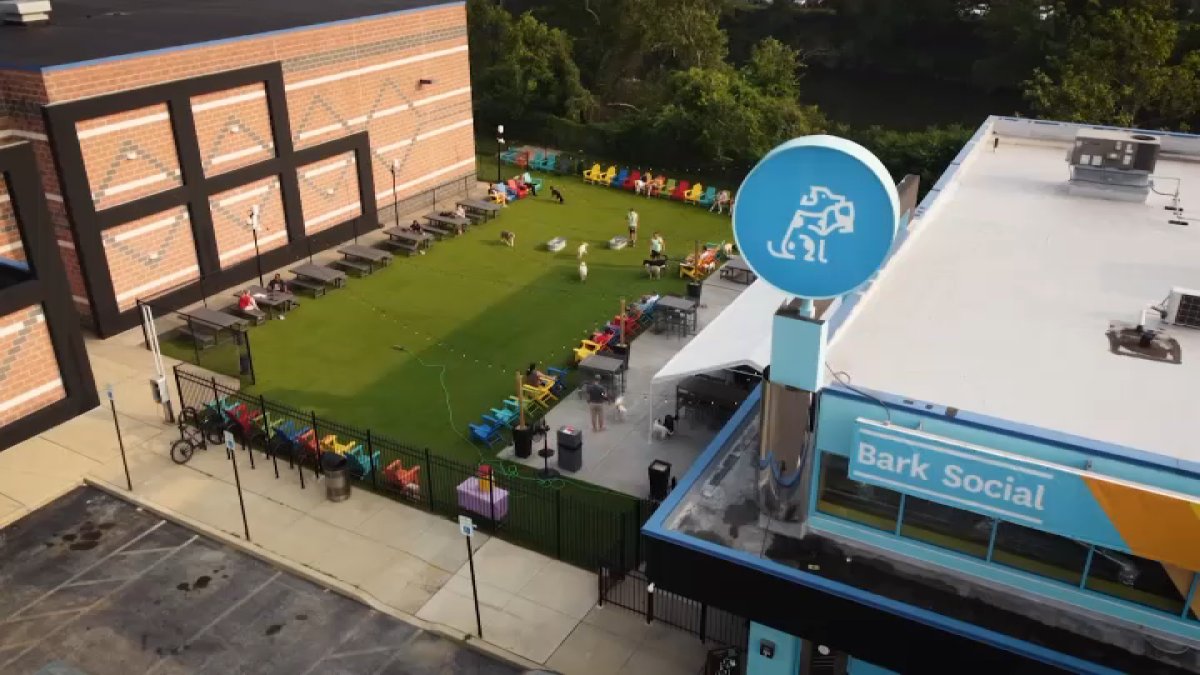 Bark Social abruptly closes, including Philadelphia location – NBC10 ...