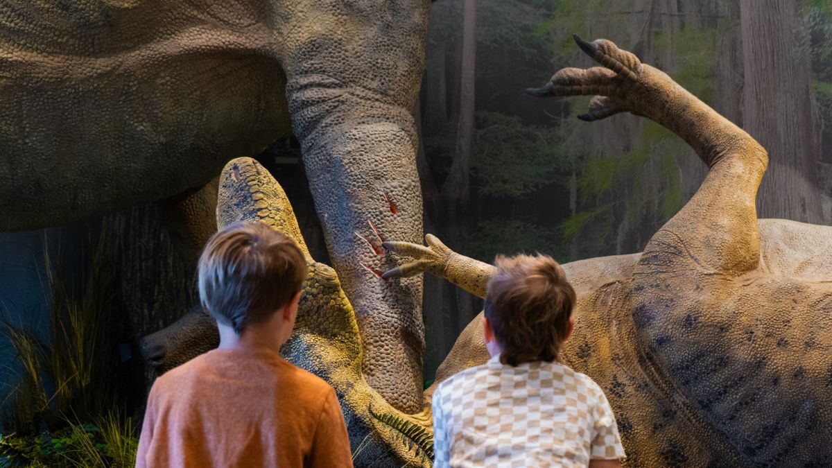 Edelman Fossil Park and Museum set to open in New Jersey in 2025 ...