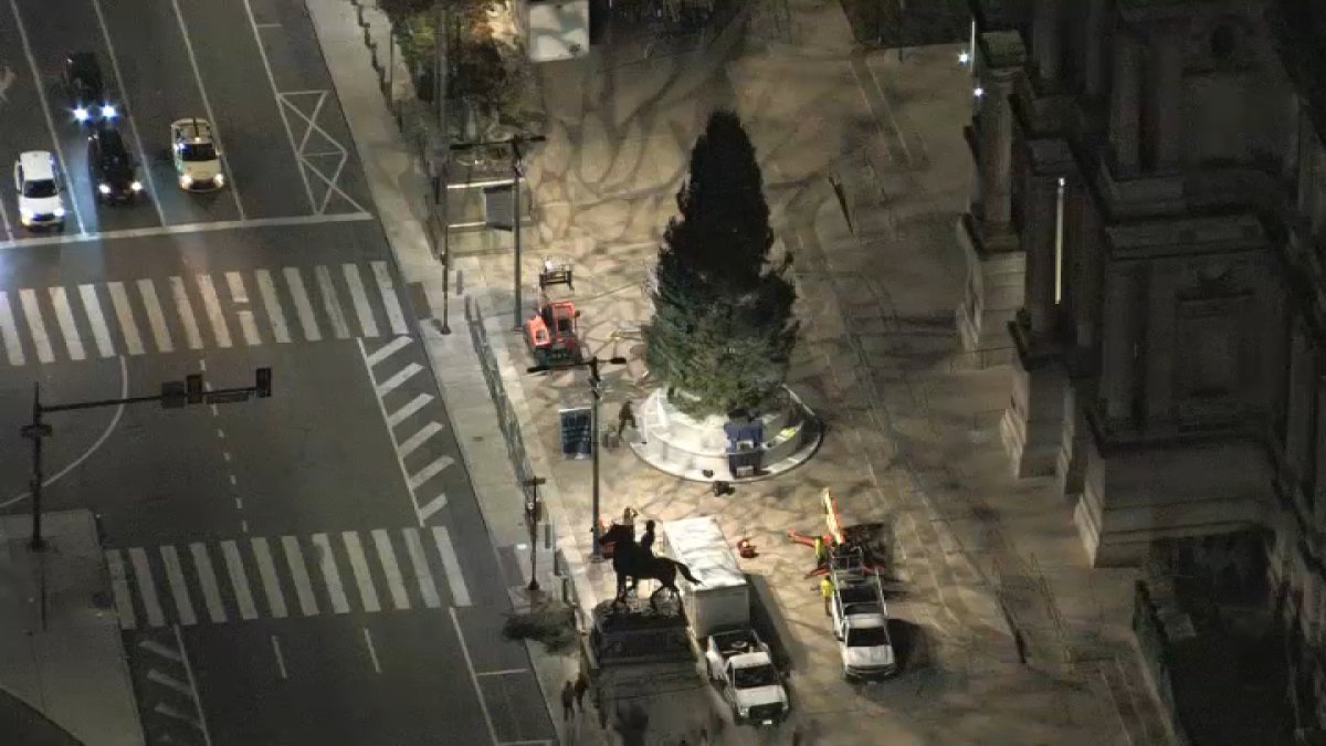 50-foot holiday tree arrives at City Hall in Philadelphia – NBC10 ...