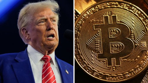 Trump and bitcoin: BlackRock predicts another historic year for crypto ...