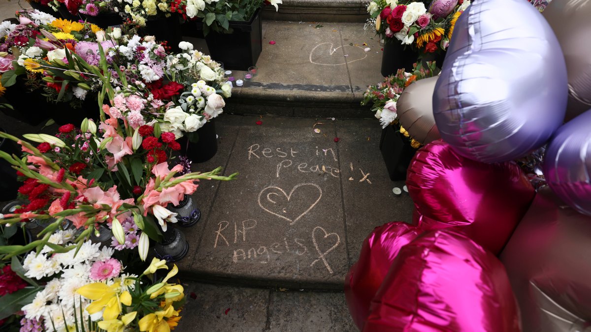 Teen Who Stabbed Girls At Taylor Swift Themed Dance Pleads Guilty