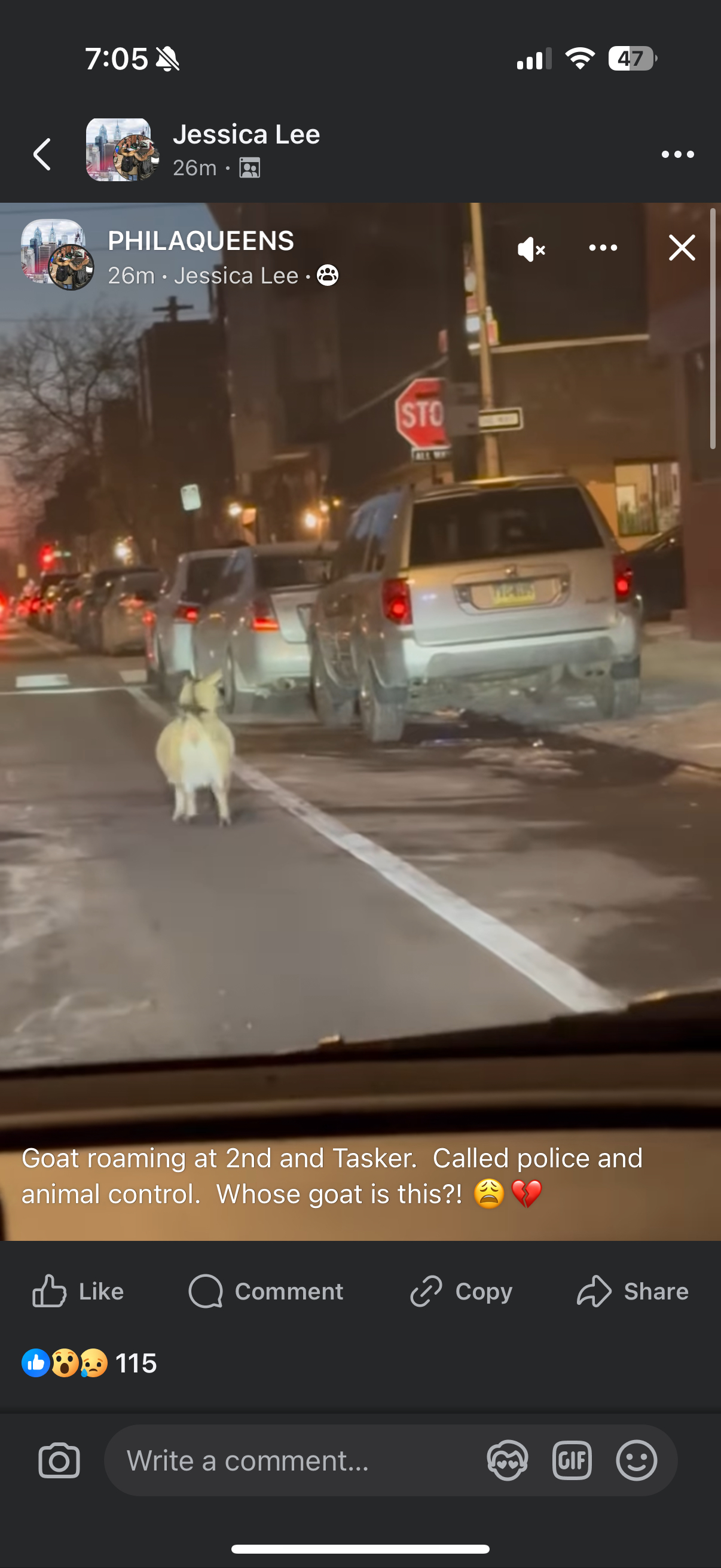 A goat was loose in South Philly on Sunday night. An actual goat ...