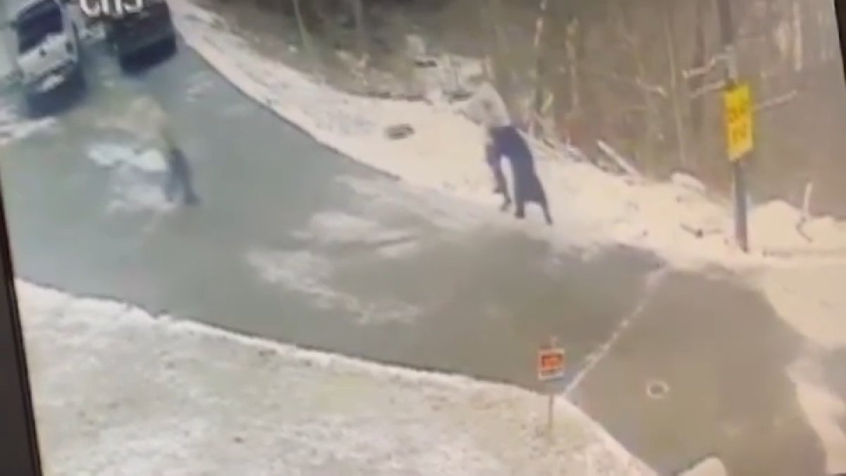 Caught on cam: Neighbor saves man during bear attack in Jim Thrope ...