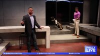 Philly Live – NBC10 Philadelphia
