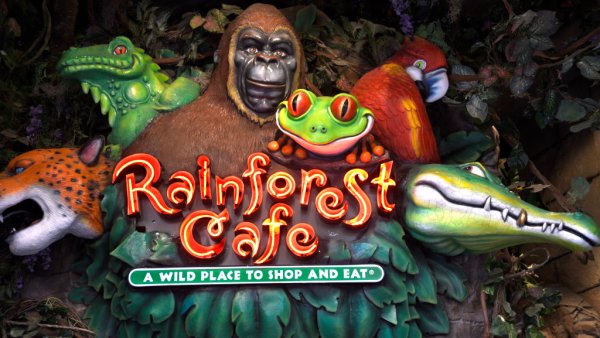Rainforest Cafe closes Edison, New Jersey location – NBC10 Philadelphia