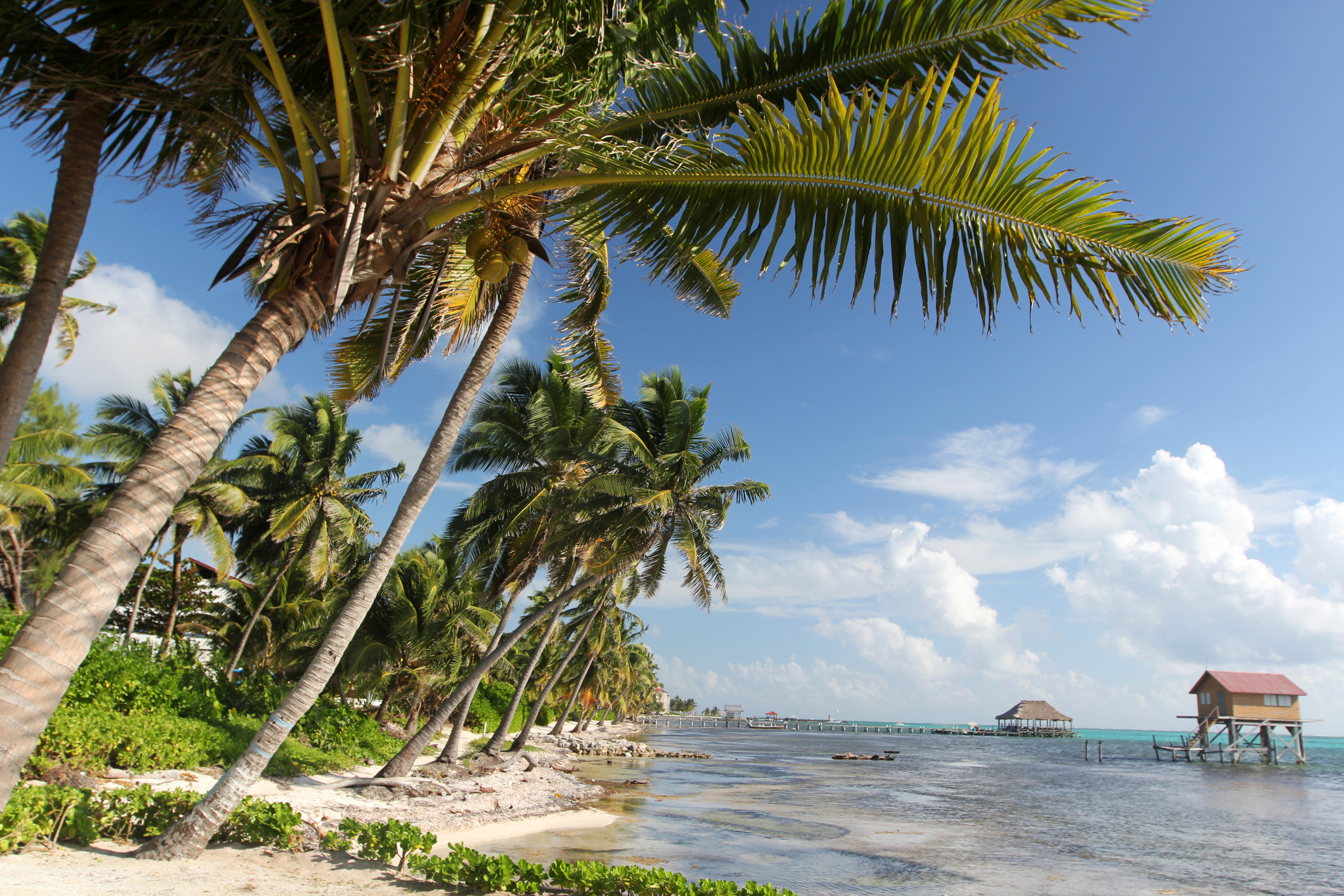 Belize tourist deaths: American women found at hotel – NBC10 Philadelphia